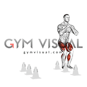 Visual GYM